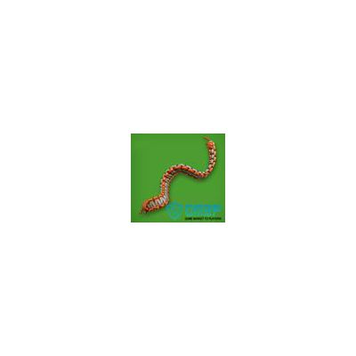 Carved Twine(100) - Fortnite Items - China_liu - gm2p.com