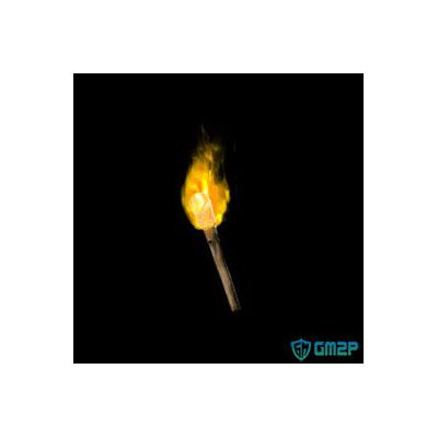 Hellfire Torch - Paladin - D2R Large Charm - Diablo II Resurrected ...