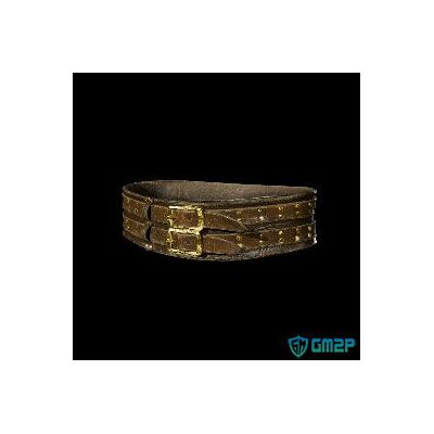 Verdungo's Hearty Cord 15% DR - Diablo II Resurrected Items - mmogamer ...